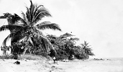 Ugar (Stephen Island) | Aboriginal and Torres Strait Islander peoples ...