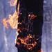 Fire scar mapping | Environment, land and water | Queensland Government