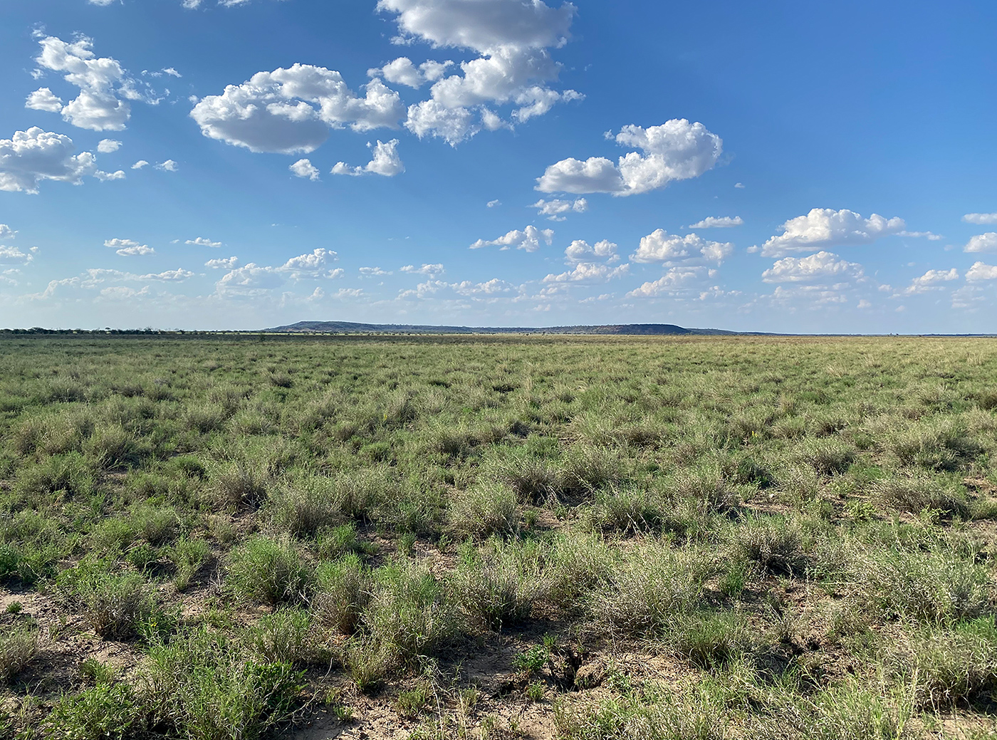 Land acquisitions and conversions | Environment, land and water ...