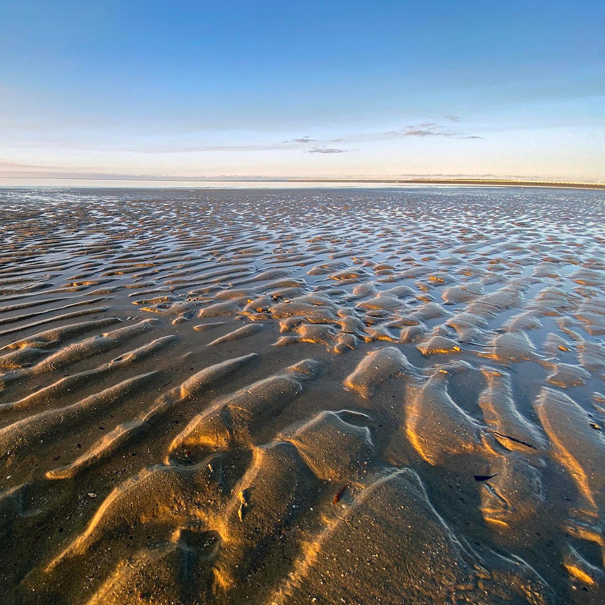 Review of the Zoning Plan for Great Sandy Marine Park | Environment ...